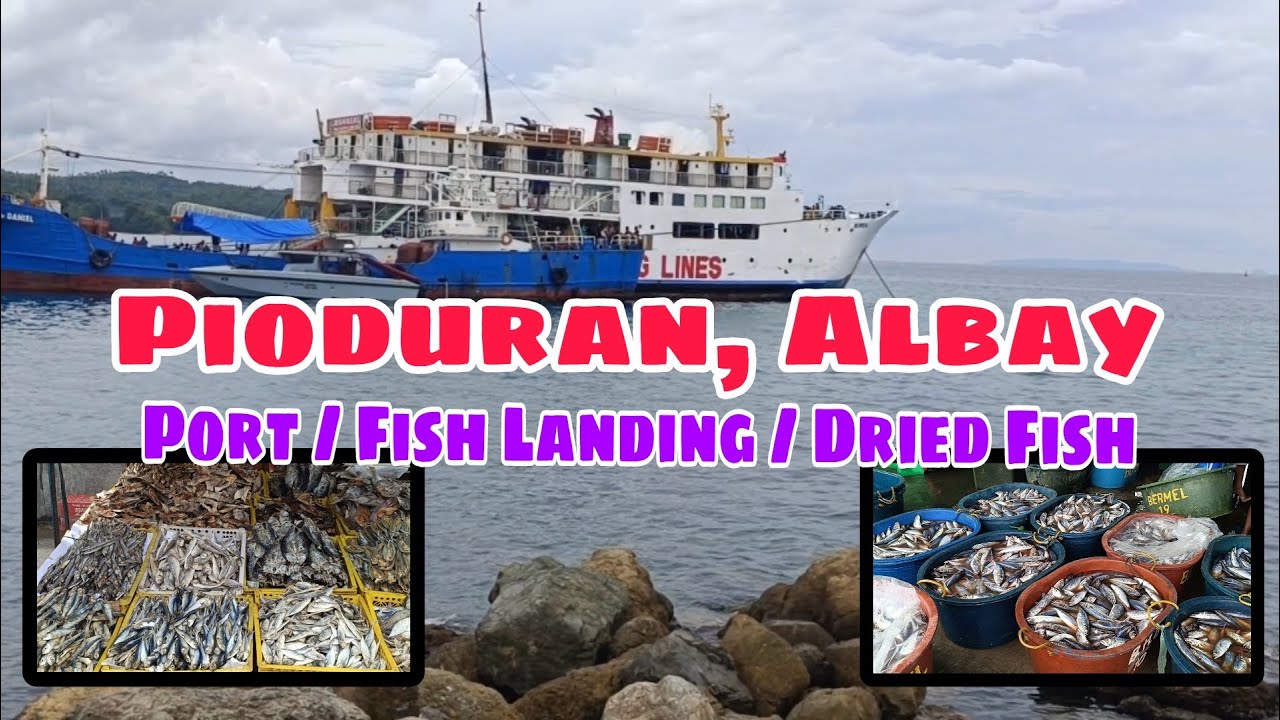 Pioduran, Albay - Port / Fish Landing / Dried Fish - YouTube