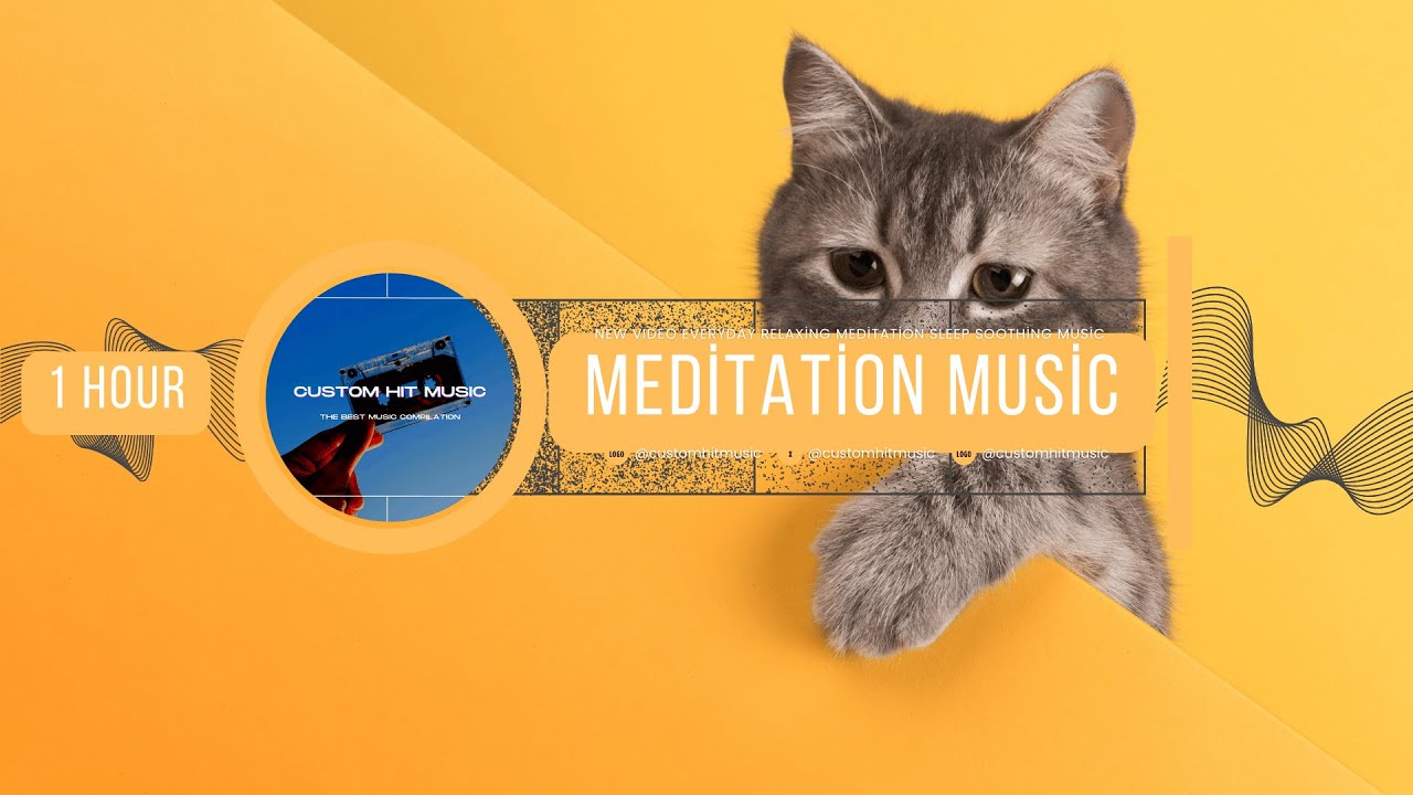 1 Hour Cat Videos to Watch , Soothing Music for Relaxing - YouTube