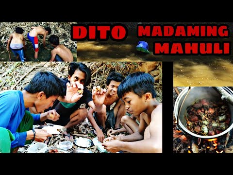 BUHAY PROBINSYA : catch and cook kappe o talangka + pagbabanlaw ng ...