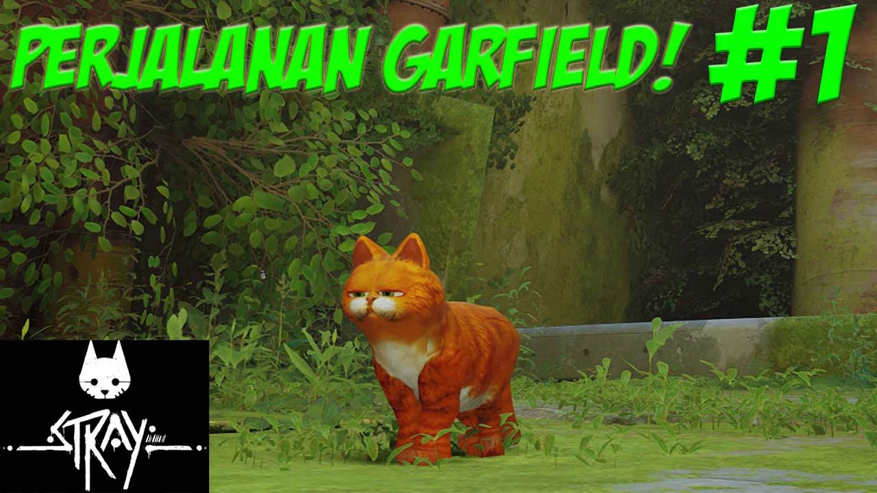 PERJALANAN KUCING GARFIELD! - Stray Indonesia MOD GARFIELD Part 1 - YouTube