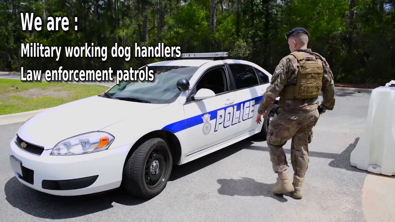 1st Special Operations Security Forces Squadron - YouTube