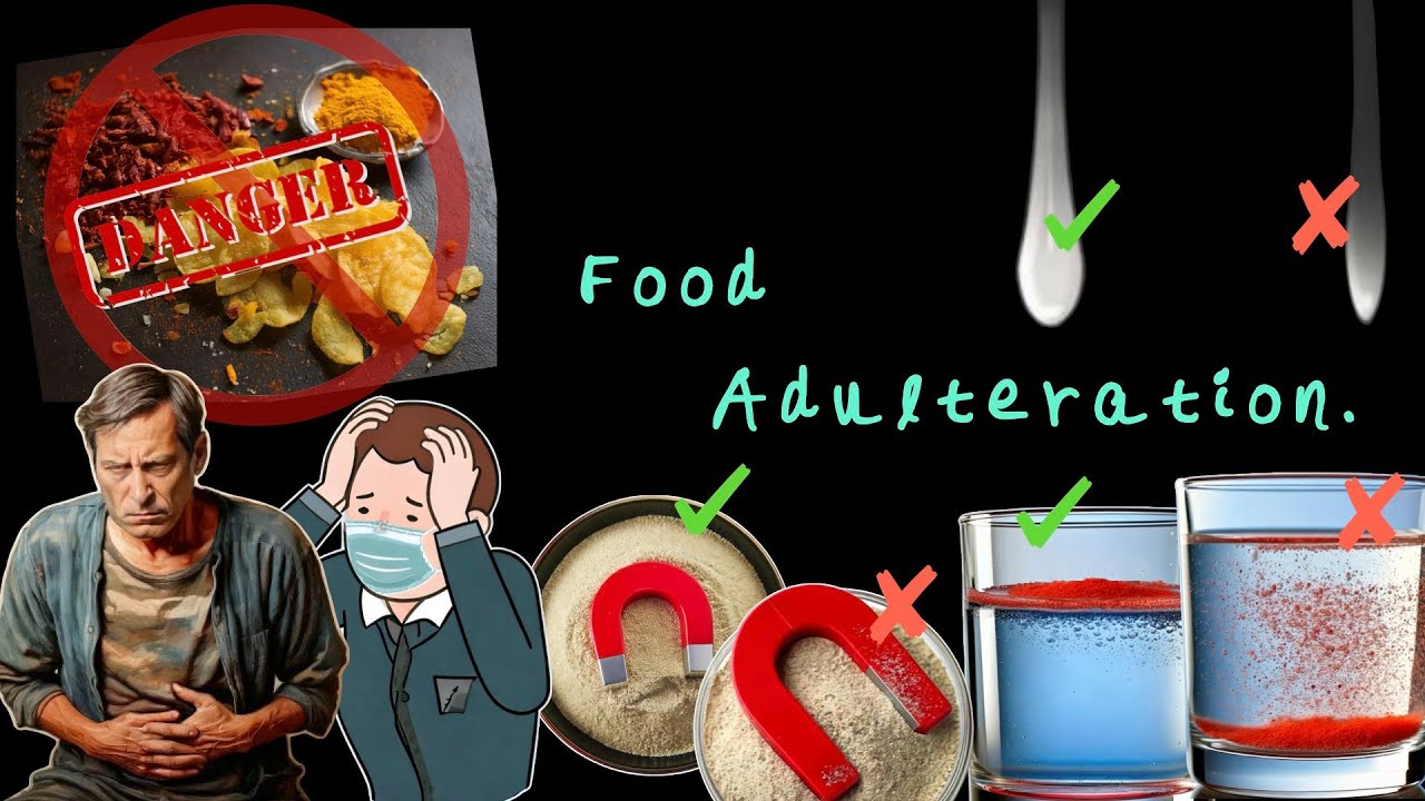 Food Adulteration | Food Safety | Middle School Science | Khan Academy ...