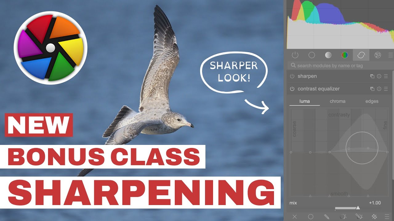 NEW Bonus Sharpening Class (Darktable Udemy Course) - YouTube