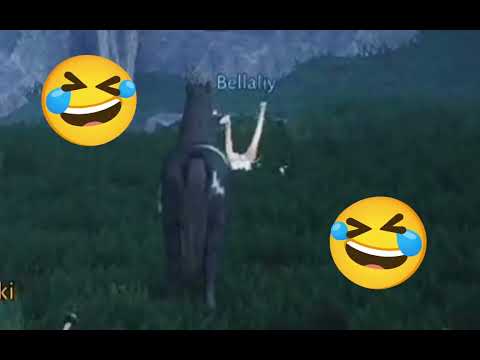 Where Winds Meet with bestie and bugs