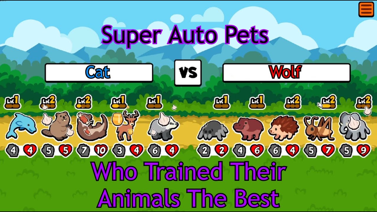 Wolf Vs Cat super auto pets : who trained their animals the best - YouTube