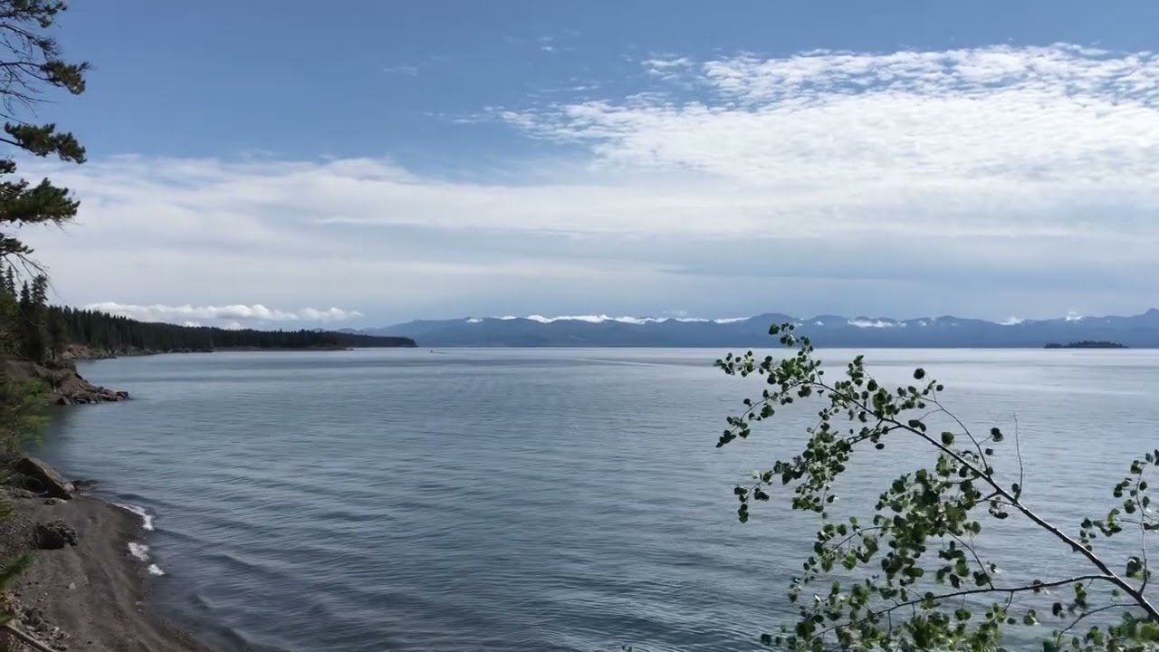 Yellowstone Shorts: Breakfast Along Lake Yellowstone at Pumice Point ...