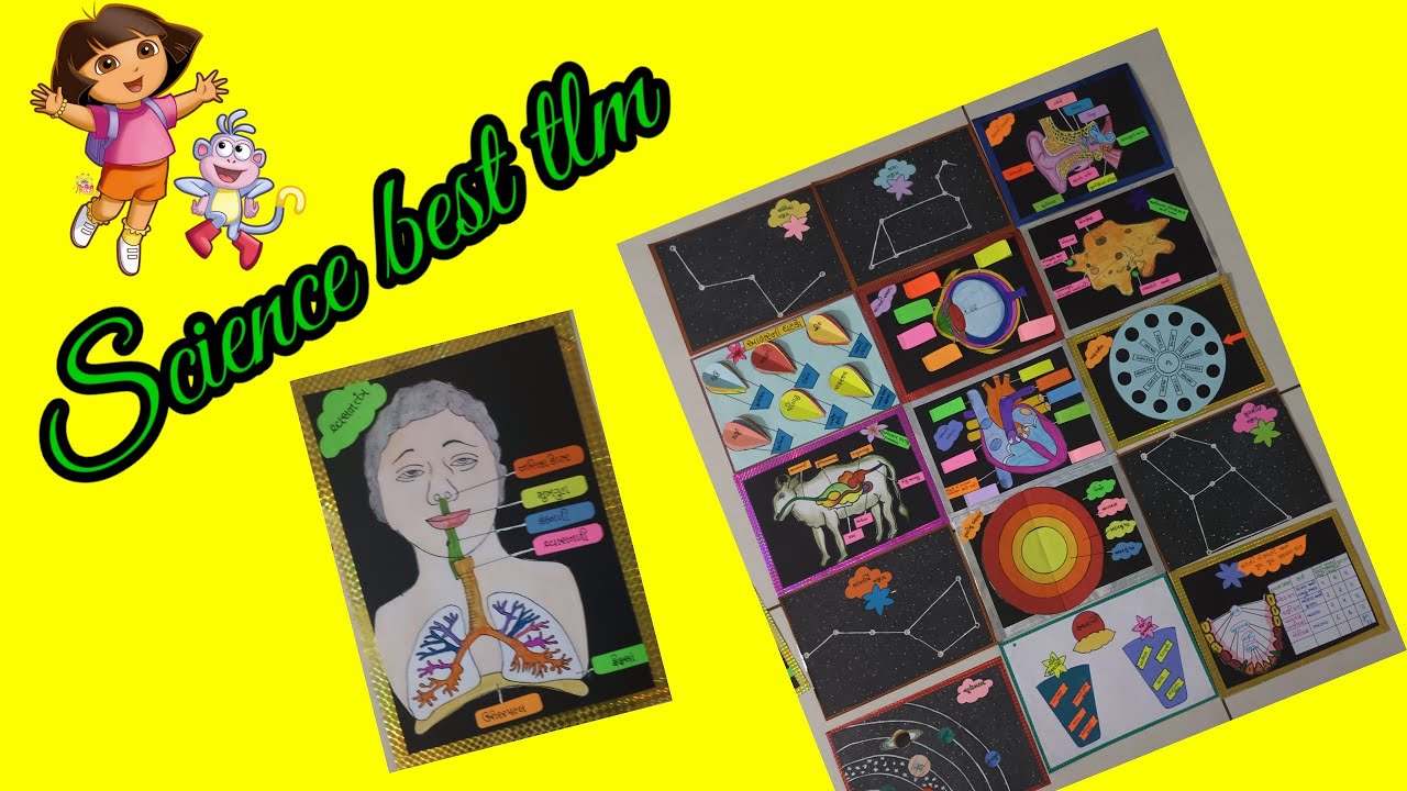 Science tlm ideas - YouTube