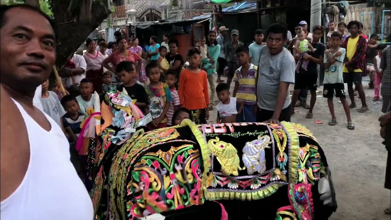 အလှူ့ရှင်အလှူအမ မိသားစုတွေ ရွှေလမ်းငွေလမ်းတွေခင်းပေးနေတဲ့ဆင်မင်းသားက