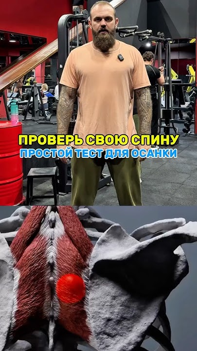 Тест на осанку спина осанка упражнение Youtube