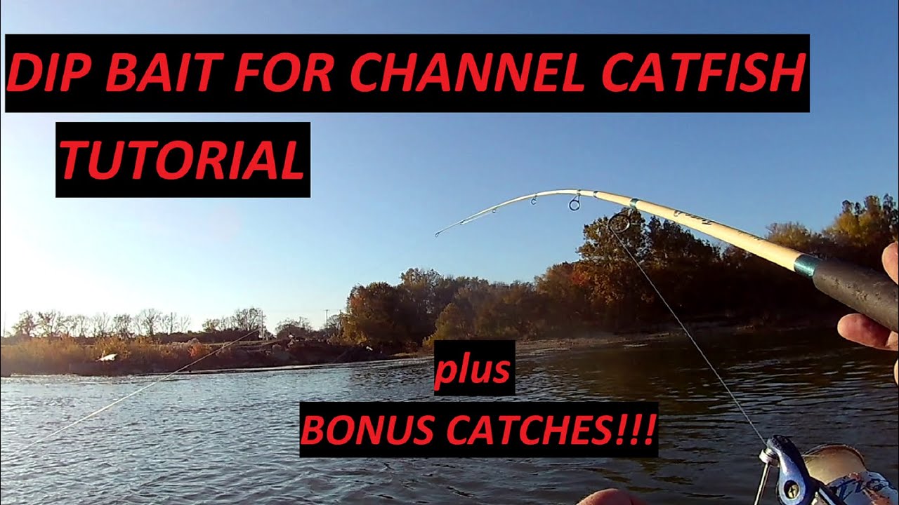 How To CATCH CATFISH On DIP BAIT - Fall River Fishing - YouTube