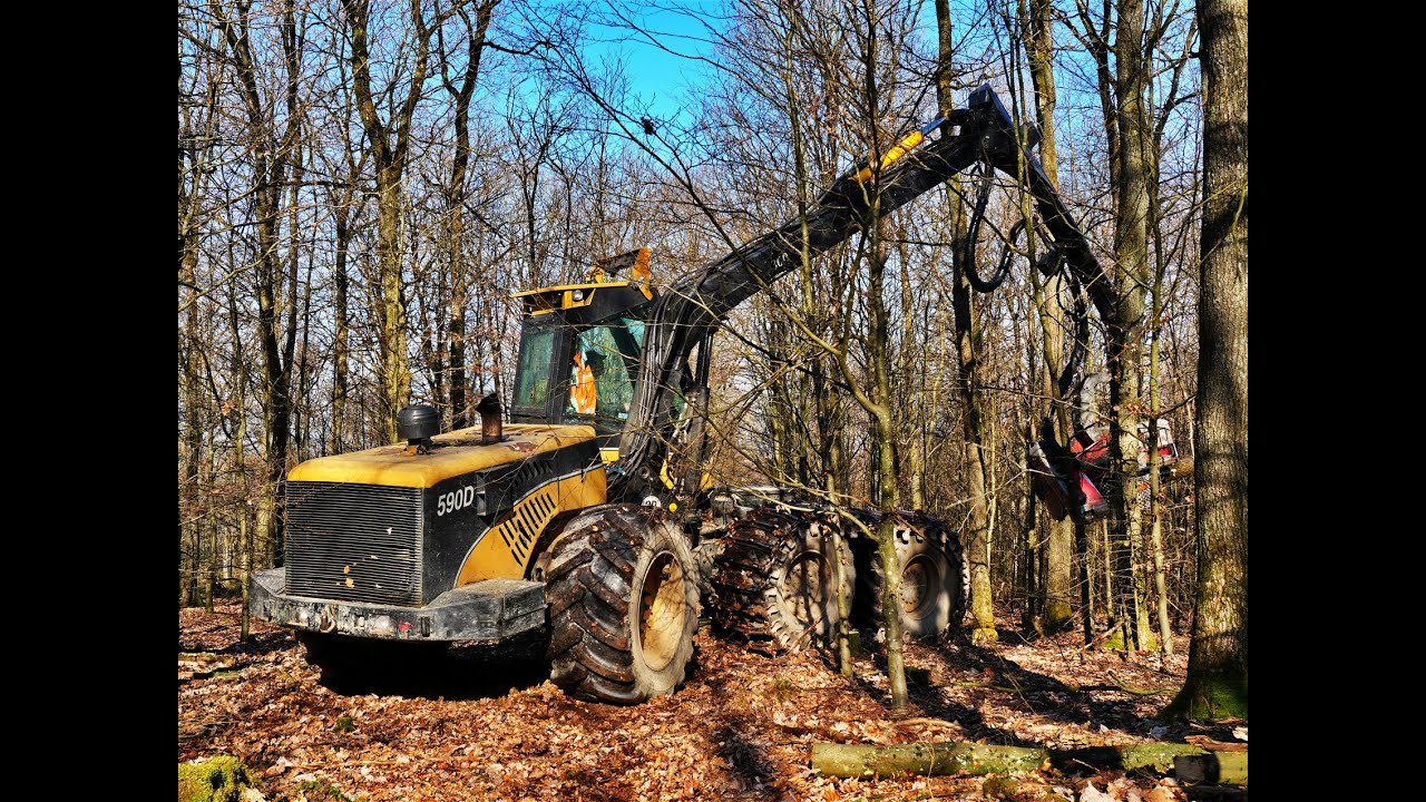 🌲Ecolog 590D *Sound* • Durchforstung / thinning • HarvesterAction ...