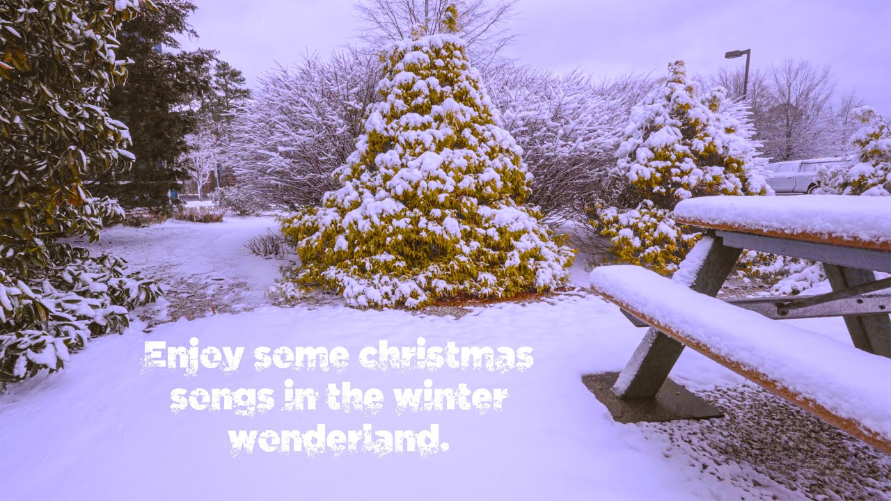 Beautiful Christmas Songs and Snow Views for Your Enjoyment ...