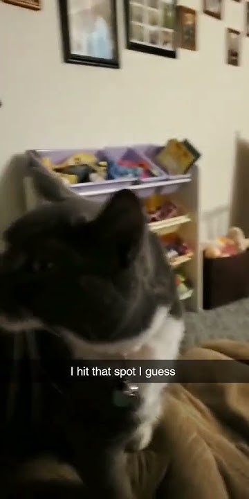 Hit That Spot Youtube