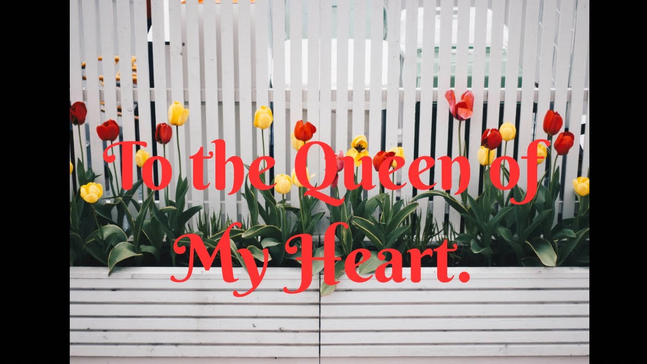 To My Beautiful Queen: Every Word is Yours . ️ - YouTube