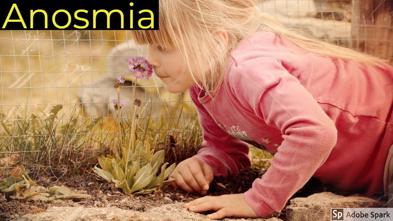 Anosmia noseblindness life without smell தமிழ் Samy22 - YouTube