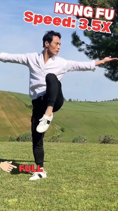 Long Fist, 長拳, Kung Fu, Shaolin, Traditional Wushu, My Jhong Law Horn, Speed Kung Fu, - YouTube