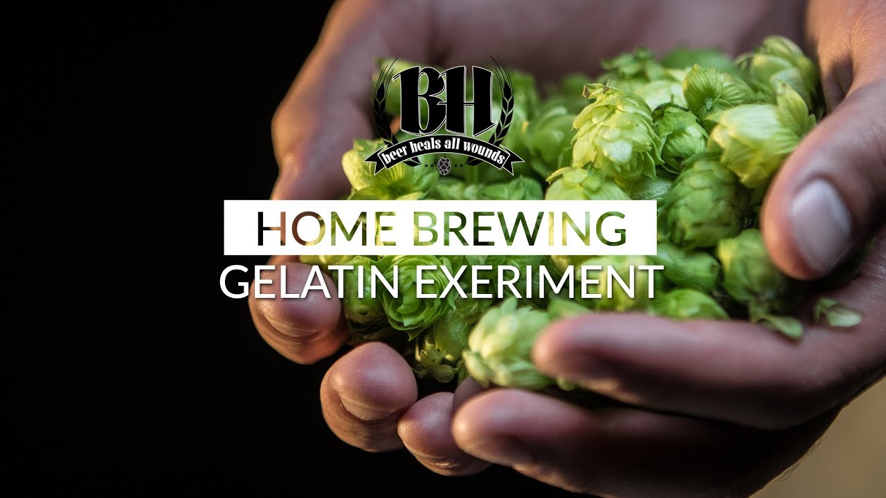 Homebrew Experiment - Cloudy IPA + Gelatin = ? - YouTube