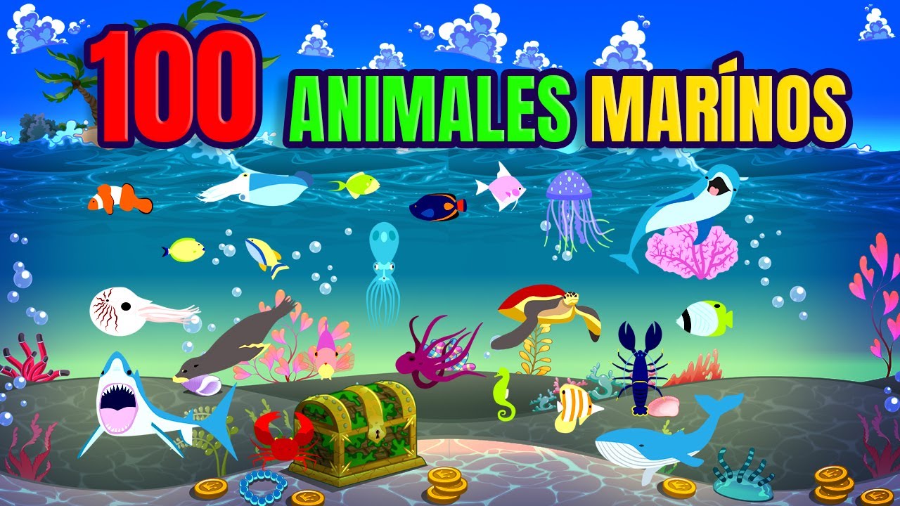 100 Animales Marinos | Nombres y Datos Curiosos - YouTube