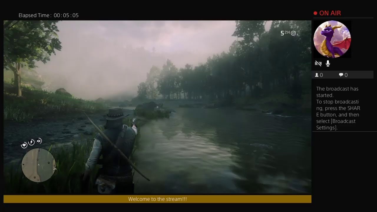 Red Dead Redemption 2 Part 124 Robin - YouTube