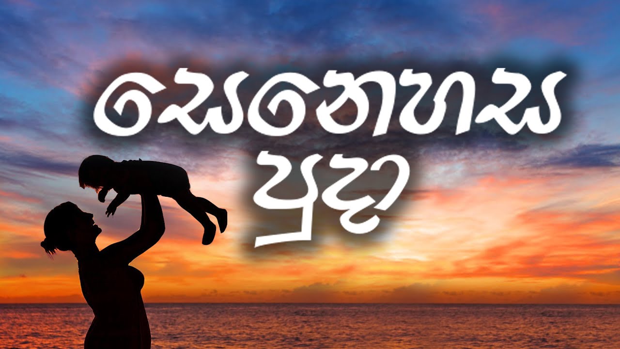 සෙනෙහස පුදා | Senahasa Puda instrumental by Ushan Madhuranga - YouTube