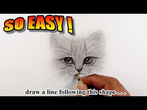 How to draw a cat realistic | Easy Drawings - YouTube