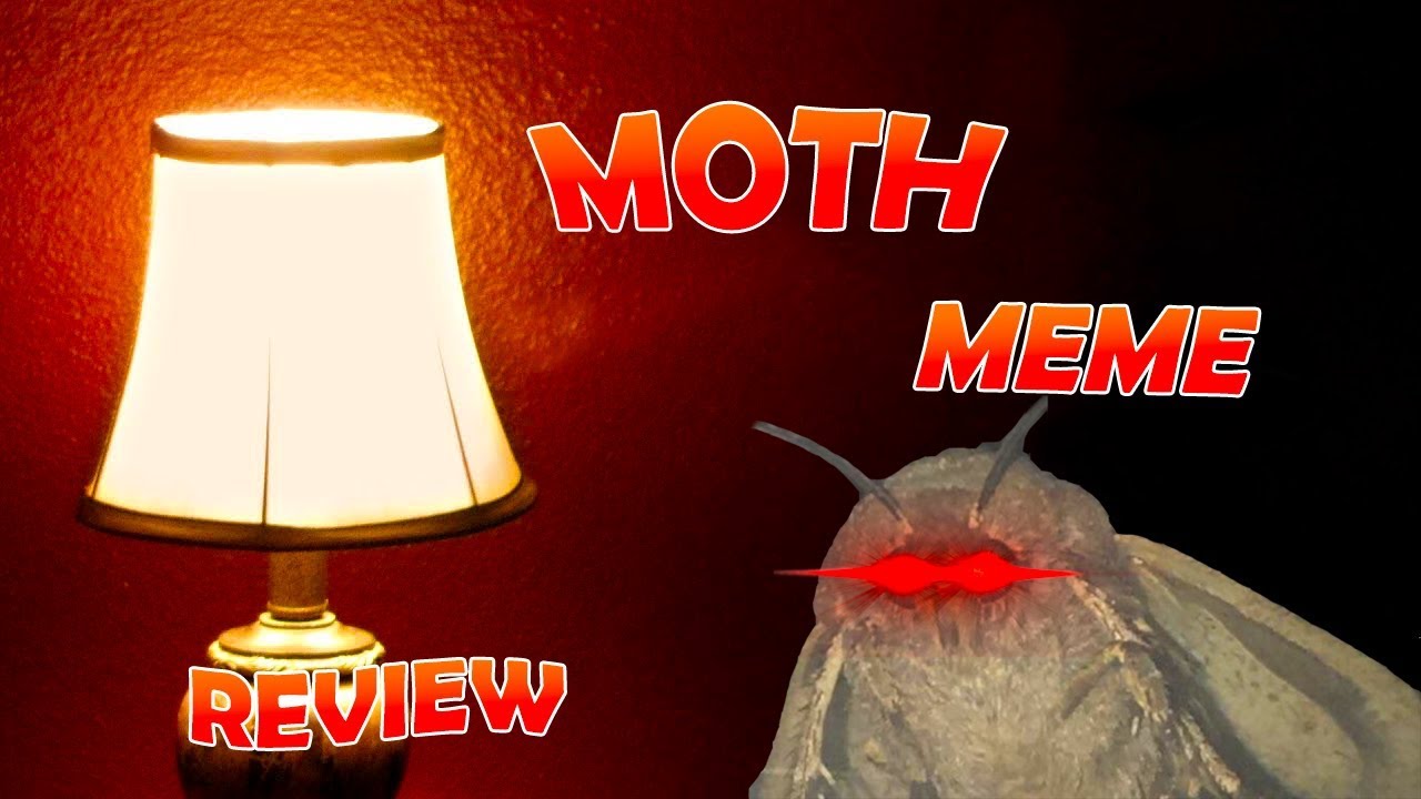 Moth Lamp - YouTube