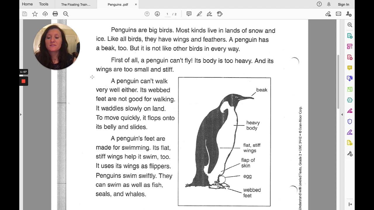 Reading Comprehension Paragraph: "Penguins" - YouTube