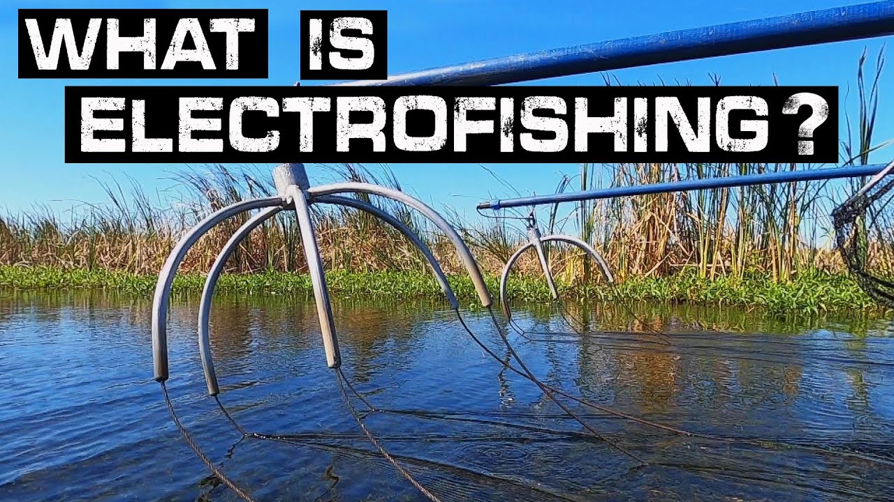 What Is Electrofishing? - YouTube