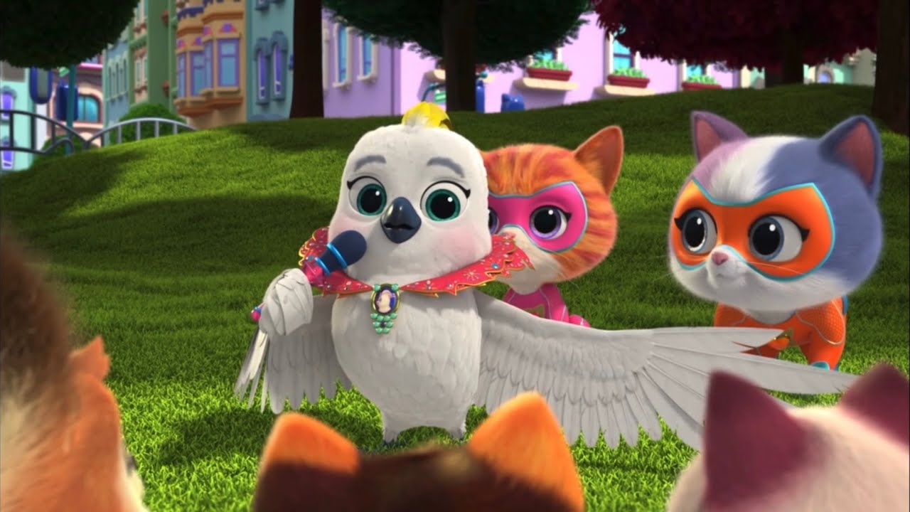 Zsa-Zsa’s Music Video | Clip | SuperKitties - YouTube