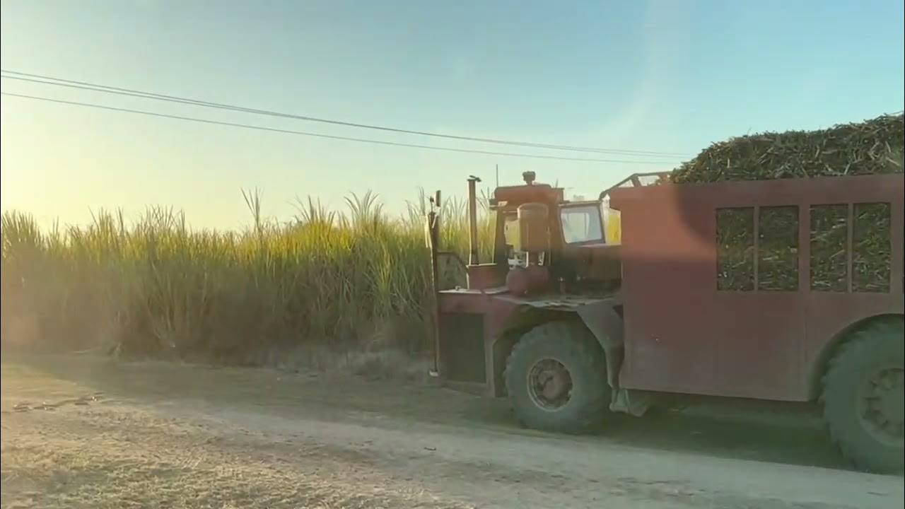 Sugar cane haulage in the Clarence Valley! Can’t beat the view from the office! - YouTube