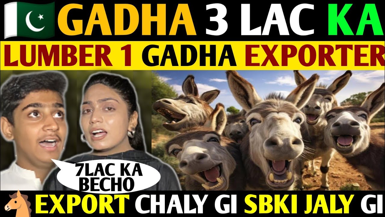 PAKI GADHA 3 LAKH KA🤣-🇵🇰LUMBER 1 GADHA EXPORTER🤣-🐴EXPORT CHALY GE SBKI ...