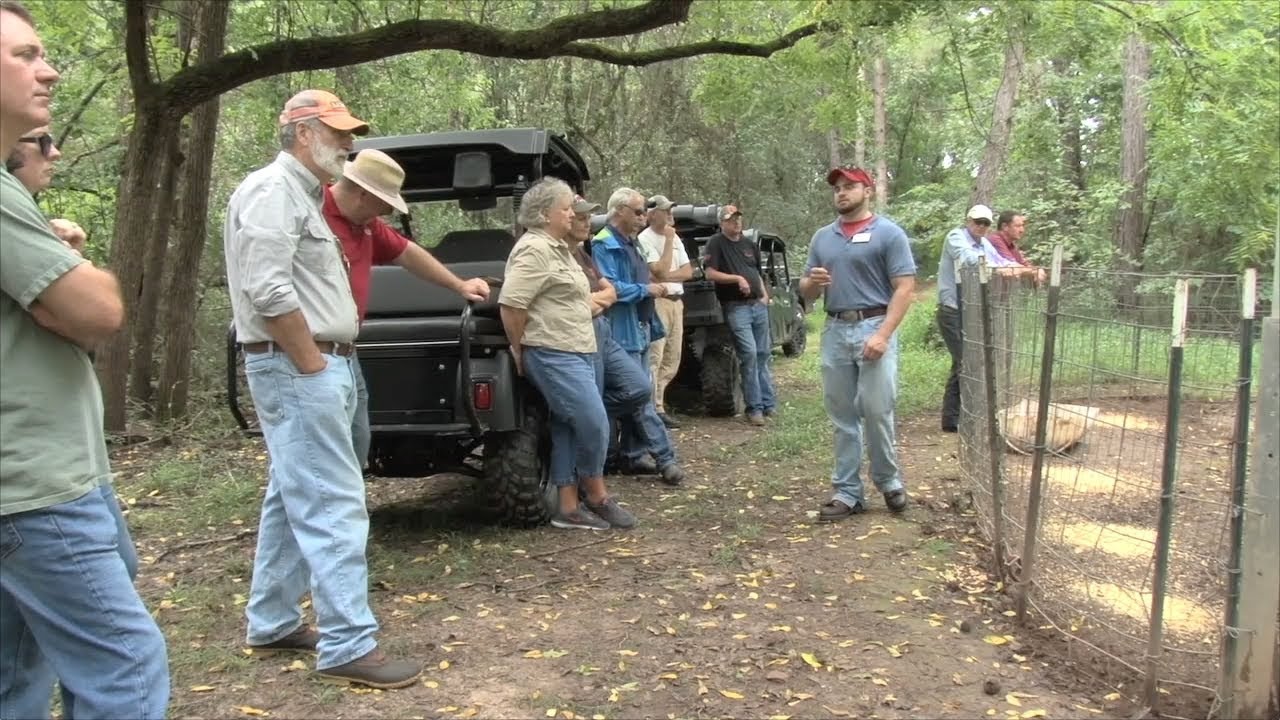 Wildlife Field Day a Great Learning Event for Participants - YouTube