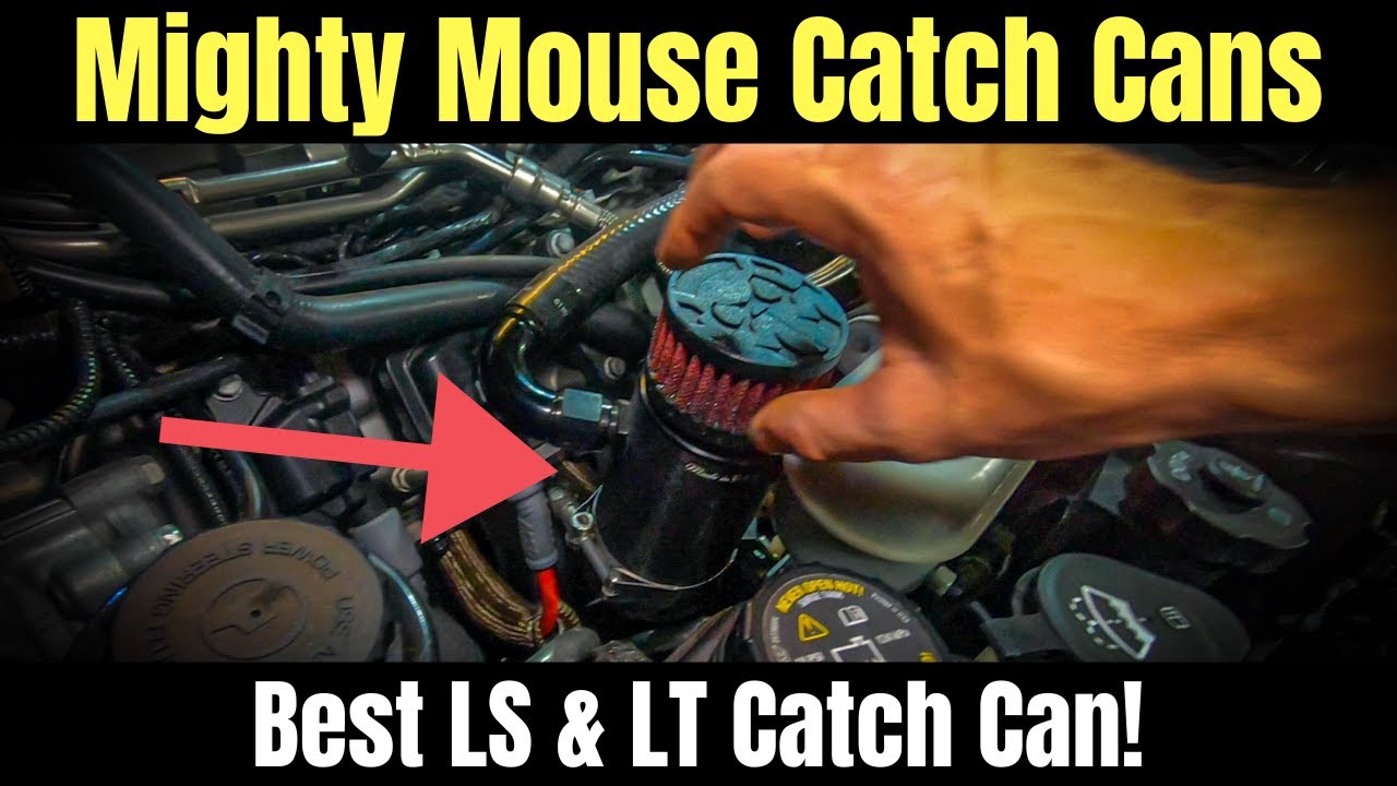 MIGHTY MOUSE OIL CATCH CAN - Best LS & LT Catch Can Made! - YouTube
