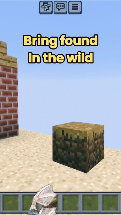 What's the rarest block in minecraft, but Soulgaleo messed the footage ...