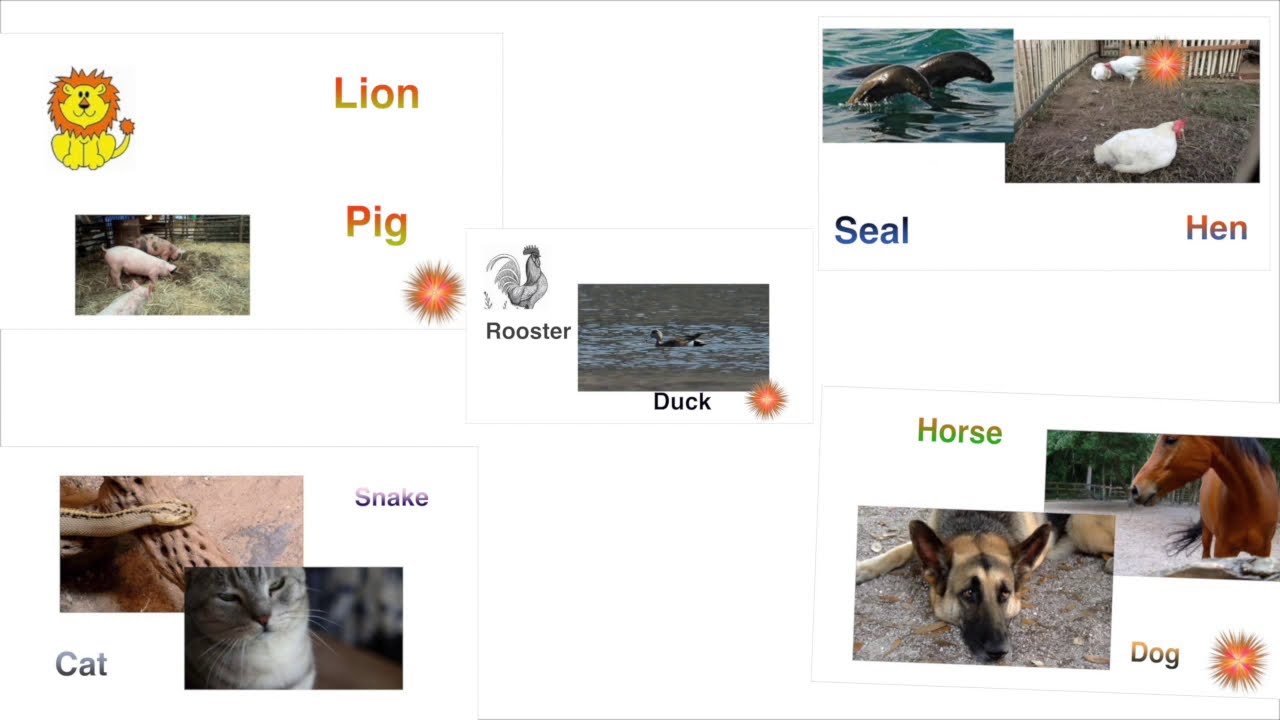 vowels & animals - YouTube