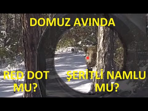 Domuz Avında Red Dot Mu? Şeritli Namlu Mu?. Domuz Avında Red Dot Avantajlı mı?