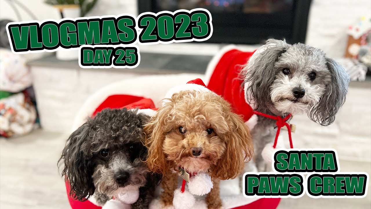 Vlogmas Day 25 Merry Christmas!!!! - YouTube