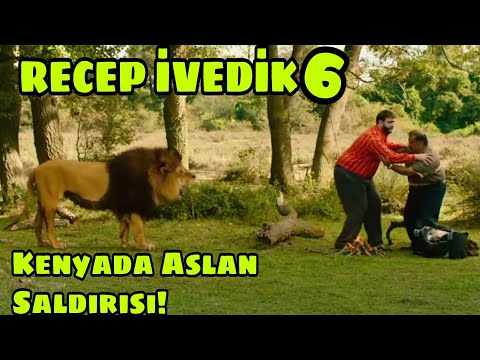 Recep İvedik 6 | Kenya'Da Aslan Saldırısı!