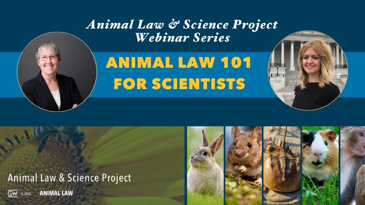 Animal Law 101 for Scientists - YouTube
