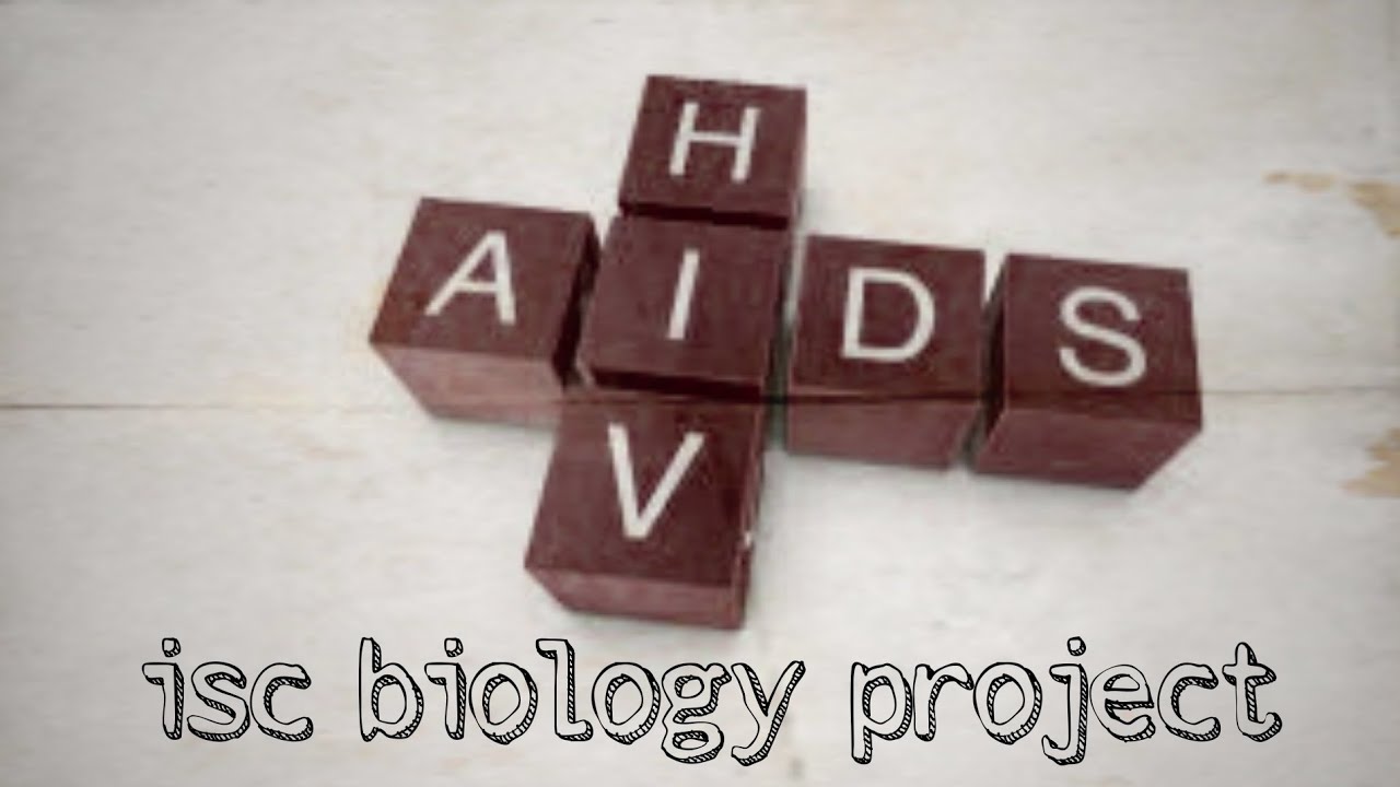 AIDS AND HIVS PROJECT | ISC BIOLOGY PROJECT ON AIDS AND HIVS | BIOLOGY ...