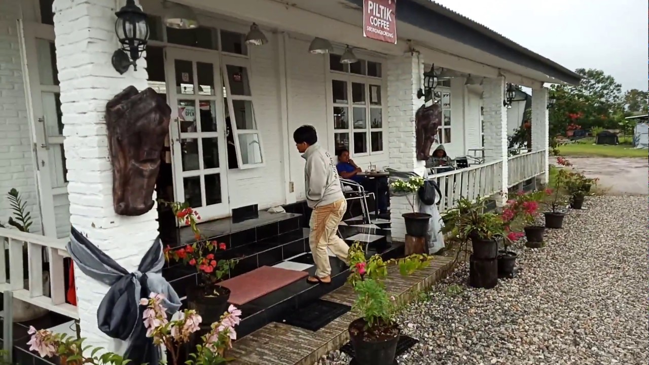 PILTIK COFFEE... Siborongborong SUMUT. 2018 (2) - YouTube