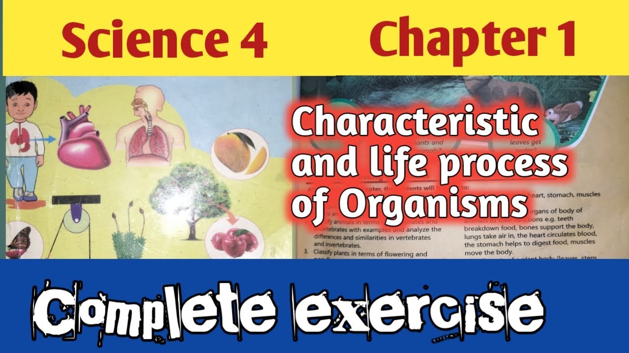 Class 4 Science Unit 1/Characteristics and life process of Organisms ...