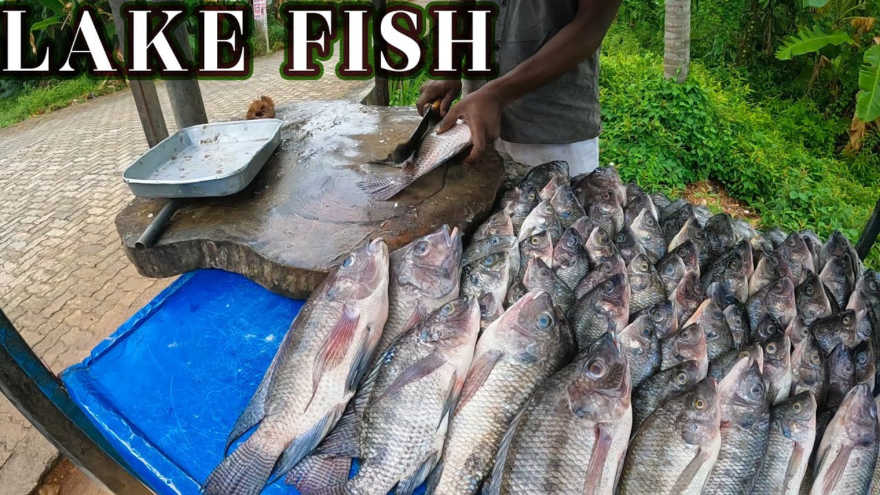 Amazing Fish Cutting Skills | Best For Fish Curry - YouTube
