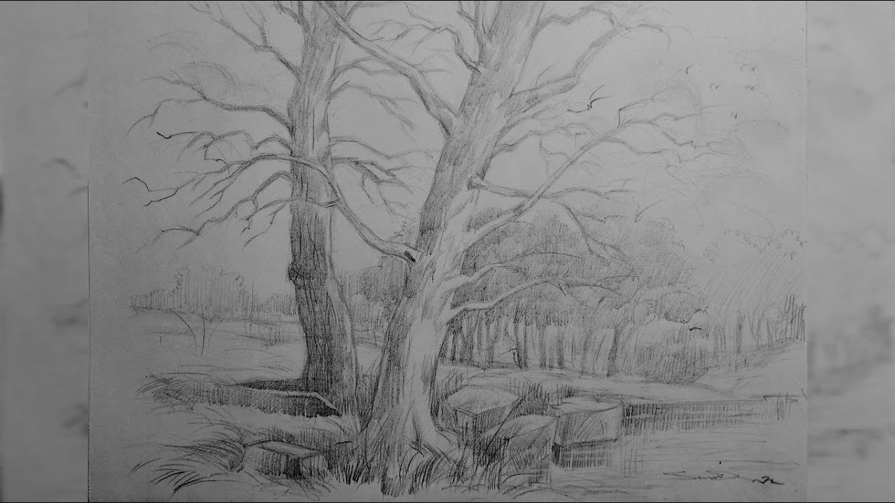 How to draw and shade landscape - YouTube