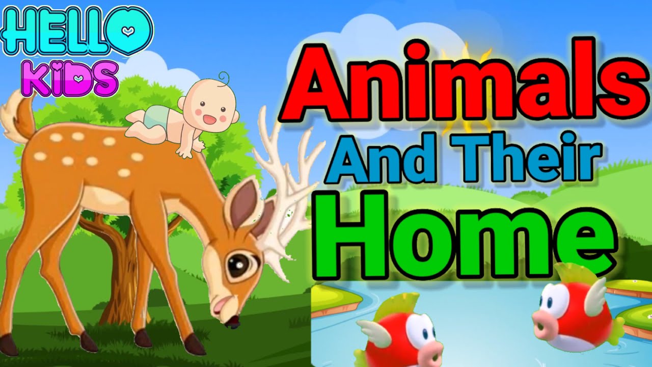 Animals Name In English| Homes of animals | Animals home | Animals and ...