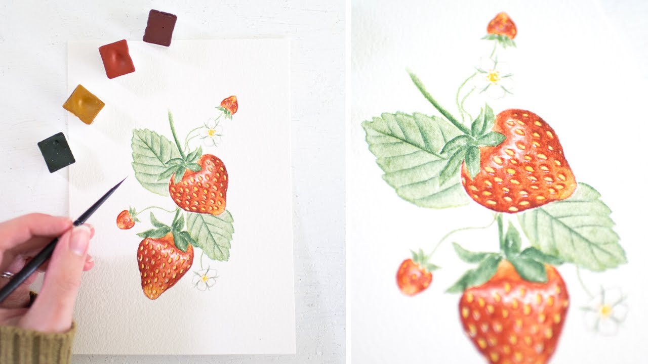 Strawberry Watercolor Illustration