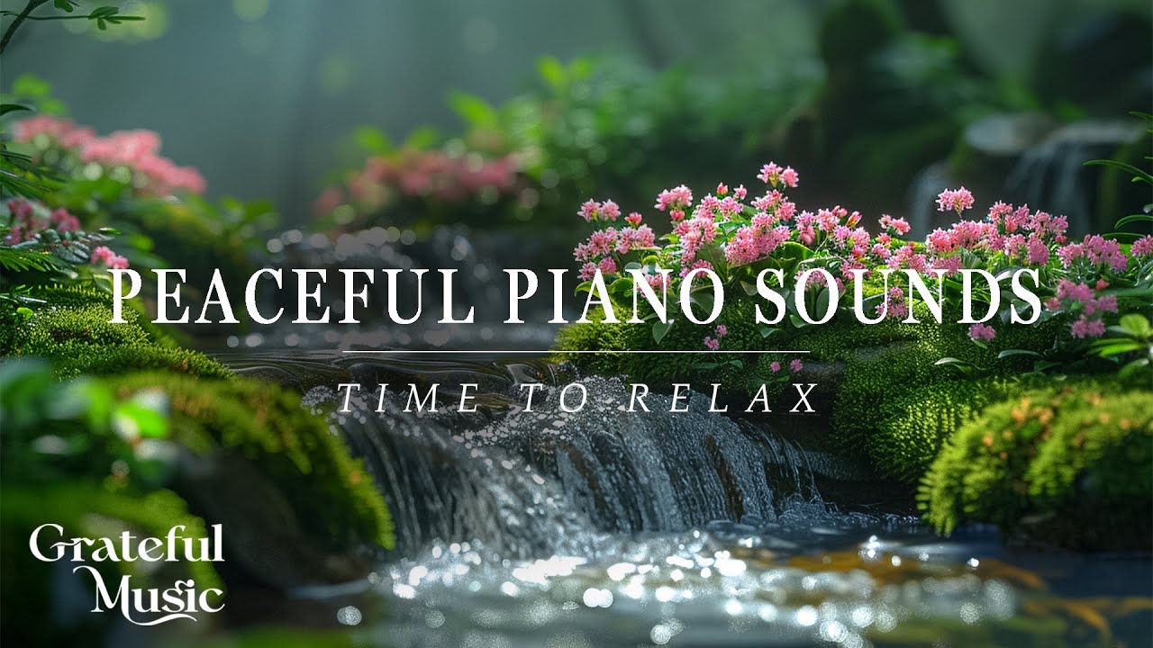 Piano Deep Focus | 3 Hours of Gentle Music with Nature Sounds - YouTube