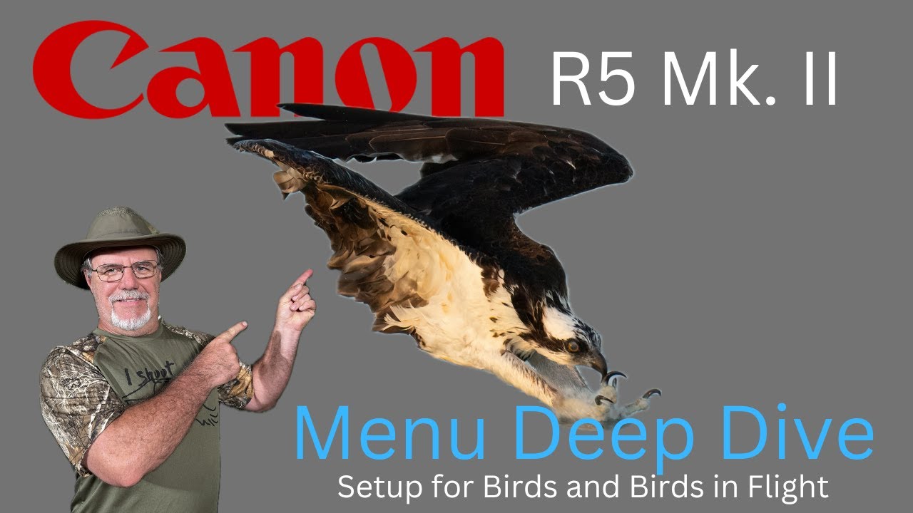 Canon R5 Mk. II Menu Setup for Birds and Birds in Flight Photography ...