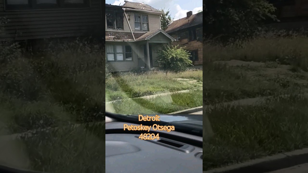 Deep in the rough n tough Wild Detroit Trenches #shorts #viralvideo # ...