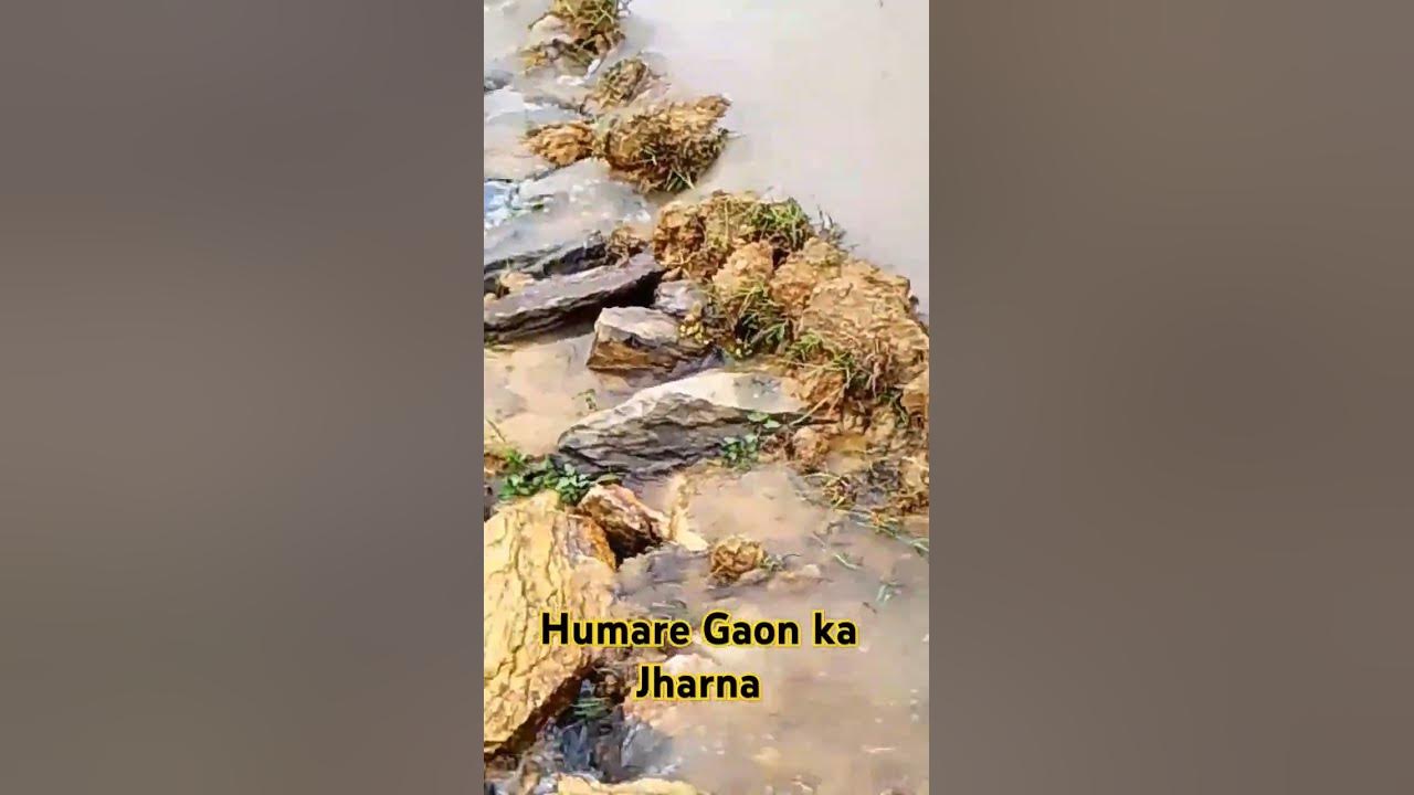 Humare Gaon Ka Jharna 👌#shortvideo #trending - YouTube